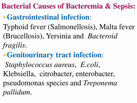 Ppt Bacteremia And Septicemia Powerpoint Presentation Free Download