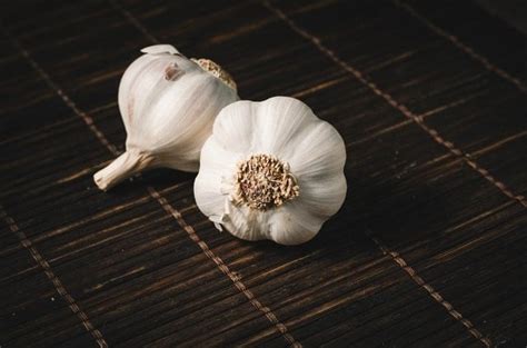 Best Garlic Supplements 4 Highly Recommended Choices