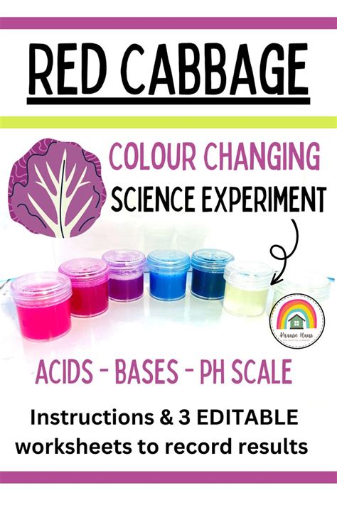 Red Cabbage Lab Activity At Eva Gopinko Blog