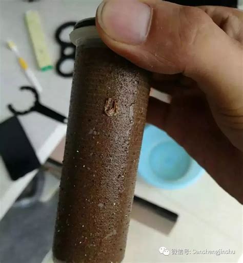 每天喝的水到底有多脏——一个前置过滤器的自述！ 搜狐大视野 搜狐新闻