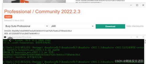 最新抓包工具burpsuite202223 Pj版burpsuite哪个版本稳定 Csdn博客