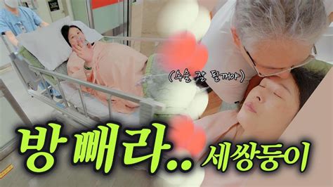 Vlog 푸른뱀의 해🐍 출산했어요👶🏻세쌍둥이 제왕절개 중환자 Youtube