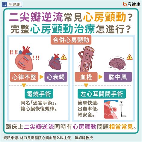 二尖瓣逆流恐要命，及早治療很重要！常見qanda一次看 今健康