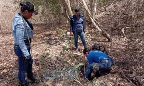 Hallan 26 Cuerpos En Fosas Clandestinas En Colima La Palabra Del