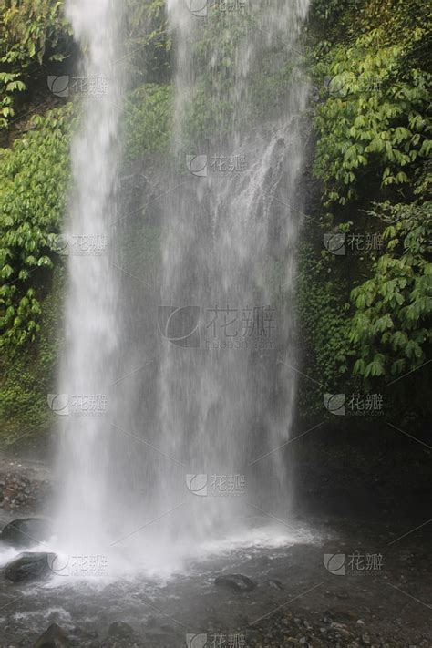 巴厘岛 热带雨林 兰花 垂直画幅 咖啡 瀑布 无人 户外 雨林 白色