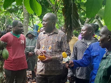 Ghana Cocoa Board Educates Cocoa Farmers On Best Practices Access Agric