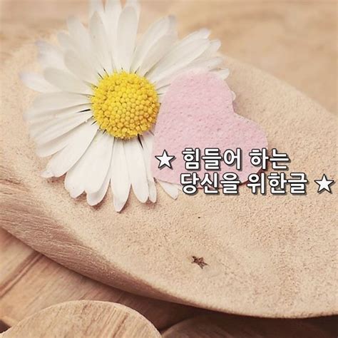 힘들어 하는 당신을 위한글 ★ 혹시 당신이 힘들어 하고 있어 세상의 좋지않은 일들이 항상 주위에 있다고 느껴지고 왜 자신이 존재하는지 그 이유에 대해서 자신이 없다면 그러는