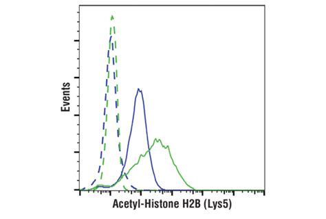 Acetyl Histone H2b Lys5 D5h1s Xp® Rabbit Mab Pe Conjugate Cell