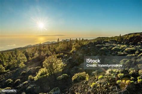 Teide 국립 공원 도로에서 구름 위의 섬 라 고메라 의 전망 테네리페 섬 고메라에 대한 스톡 사진 및 기타 이미지 Istock