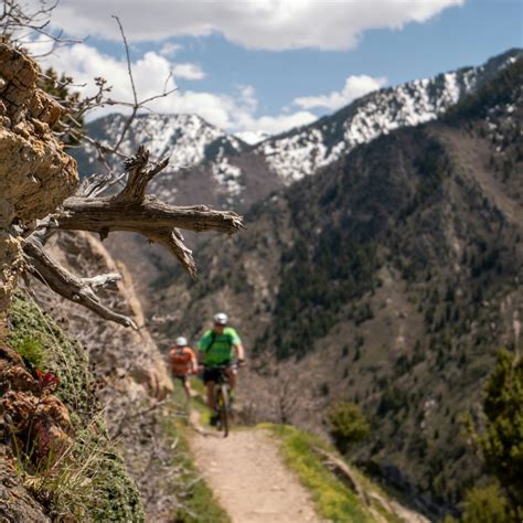 How To Avoid Rattlesnakes While Mountain Biking Shred Trail
