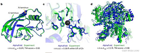 Alphafold2：highly Accurate Protein Structure Prediction With Alphafold