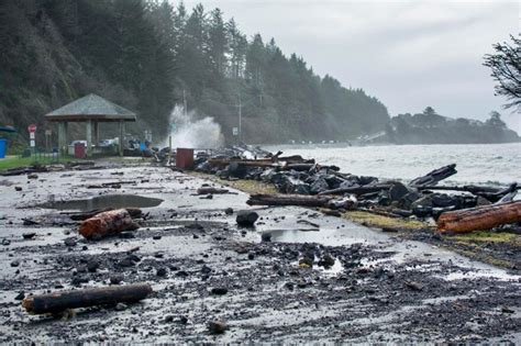 Last King Tides Of The Season Coming This Weekend