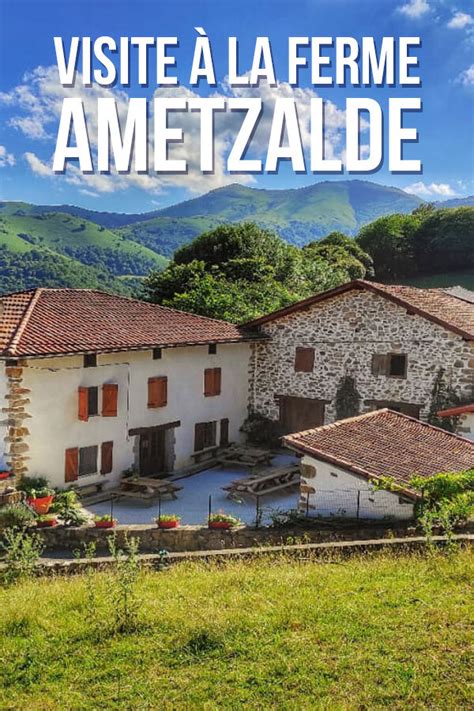 Visite De La Ferme Ametzalde Et Dégustation De Fromage à Lasse