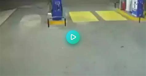 Mooooo Bitches Album On Imgur