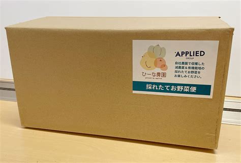 社内福利厚生「採れたてお野菜便」第1回6月分の出荷を行いました！ ｜ ひーな農園｜シティ情報ふくおかとハウズが運営する自社農園