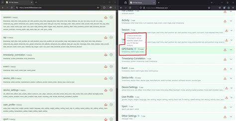Windsurfing Fit File Viewer 2