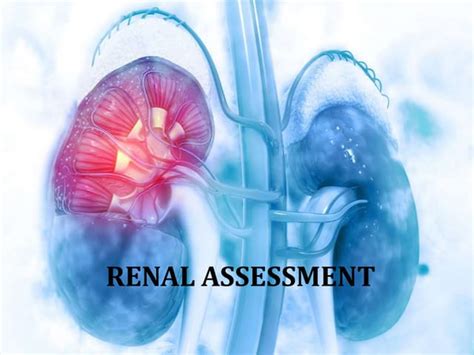 Renal Assessment Ppt