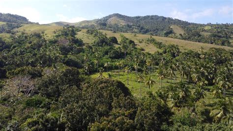 Concepcion Norte Sta Maria Romblon Property For Sale Lot On Carousell