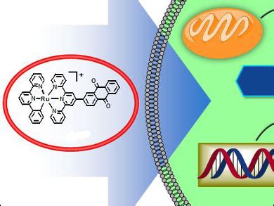 Combating Drug Resistance In Hypoxic Tumor Cells ChemistryViews