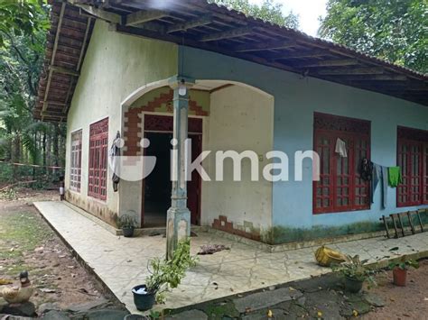 දුම්මලදෙණිය ප්රදේශයෙන් පර්චස් 45 ඉඩම හා අන්ගසම්පූර්ණ නිවස විකිණීම Ikman