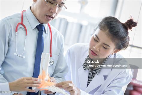 아시아 선생님이 가르치는 학생에 대 한 과학 및 해부학에서 실험실 Stem 주제에 대한 스톡 사진 및 기타 이미지 Stem