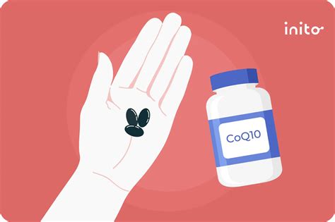 Everything Youve Been Wondering About CoQ For Fertility Answered