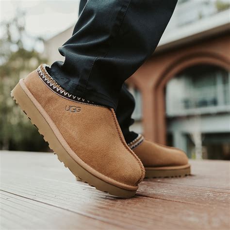 Încălțăminte și Sneakerși Pentru Bărbați Ugg M Tasman Chesnut 5950 Che