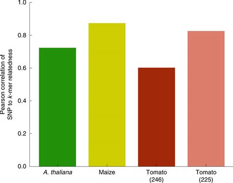 Kinship Matrix Estimates With K Mers Relatedness Between Accessions Was