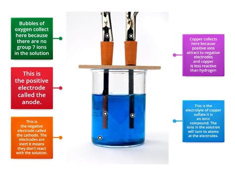 Copper Sulfate Aq Electrolysis Labelled Diagram