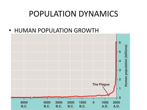 Ppt Population Dynamics Powerpoint Presentation Free Download Id