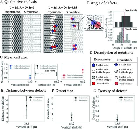 Results Showing The Impact Of Vertical Shift H D A Pairs Of Download Scientific