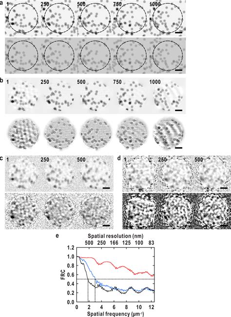 Numerical Demonstration Of Multiple Shot Coherent Diffraction Imaging A