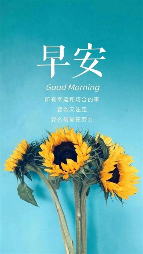 每日一句励志语录，每日一言正能量句子 知乎