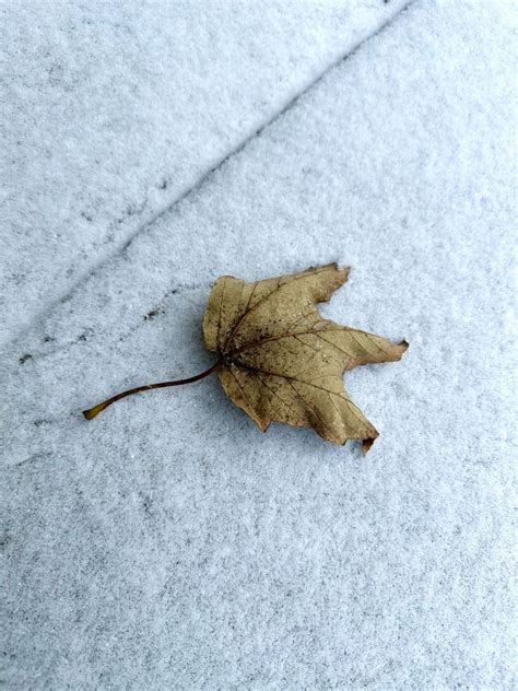 Максим Стефаненко On Linkedin Уявіть собі що все що ви робите в житті все що говорите пишете в…