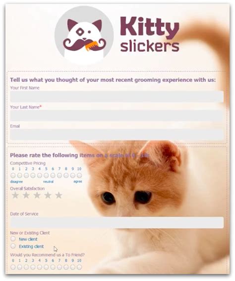 How To Create Salesforce Surveys That Elicit Useful Feedback Formstack Blog