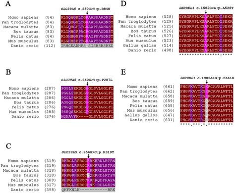 Conservation Analysis Revealed Evolutionary Conservation Of The