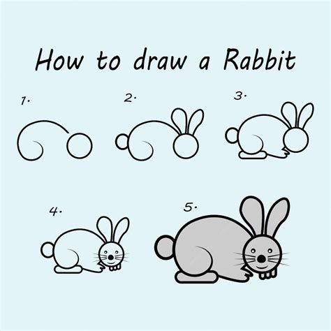 Paso A Paso Para Dibujar Un Conejo Tutorial De Dibujo De Un Conejo