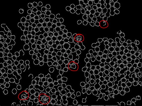 Python Distortions In Canny Edge Detection Stack Overflow