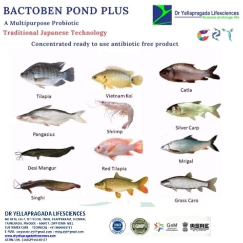 Kalpana Puli Mcom Mba Posted On Linkedin