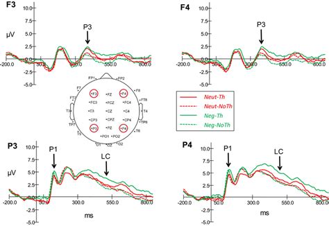 Grand Mean Erps For The Four Experimental Conditions Neutral‐think