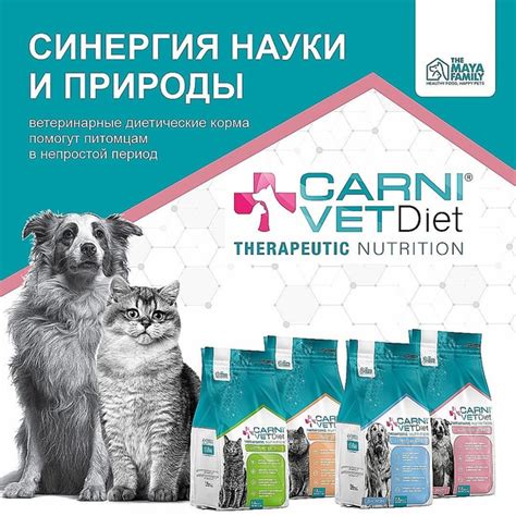 #Иванко_бренды CARNI VET Diet — ветеринарные диетические корма ...