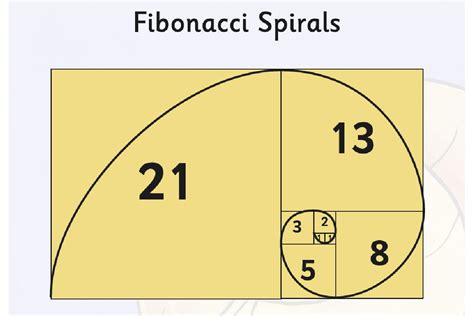 Fibonacci Sequence Definition History Formula List And Its Uses
