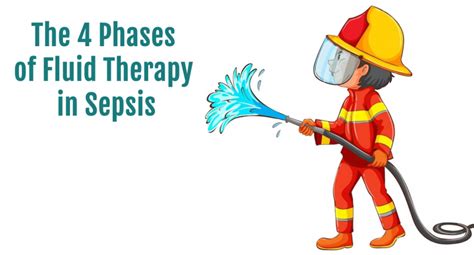 The 4 Phases Of Fluid Therapy In Sepsis Sepsis Program Optimization