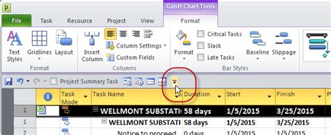 Microsoft Project 2010 Project Summary Task