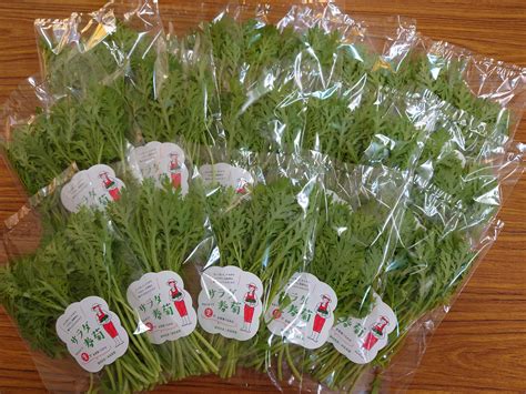 生で食べるサラダ春菊数量が多いセットをご用意しましたサラダ春菊40g15袋さっと洗ってそのまま使える静岡県産のその他