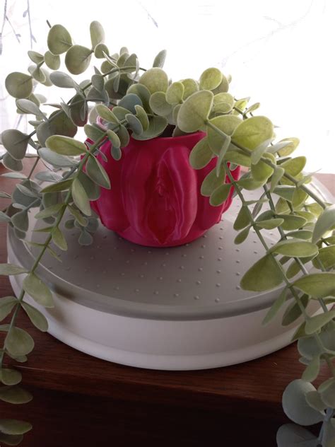 Female Body Planter Fun Housewarming T Funny Succulent Pot Vulva