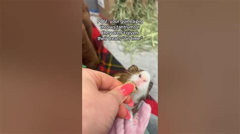 Hangry And Cute And Loud 🥲 Youtube