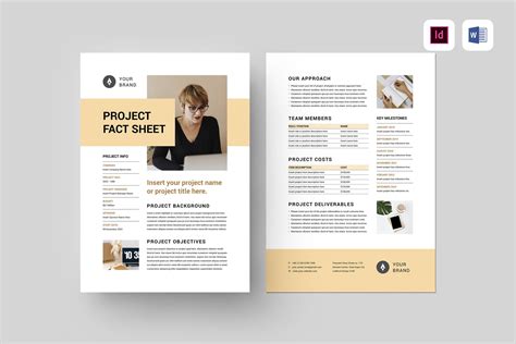 Project Fact Sheet Ms Word And Indd Flyer Templates ~ Creative Market