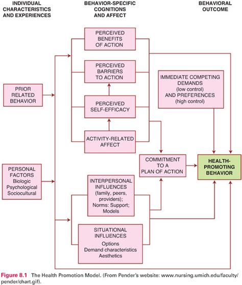 Nursing Conceptual Framework