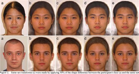 Figure From Facial Resemblance Increases The Attractiveness Of Samesex Faces More Than Other